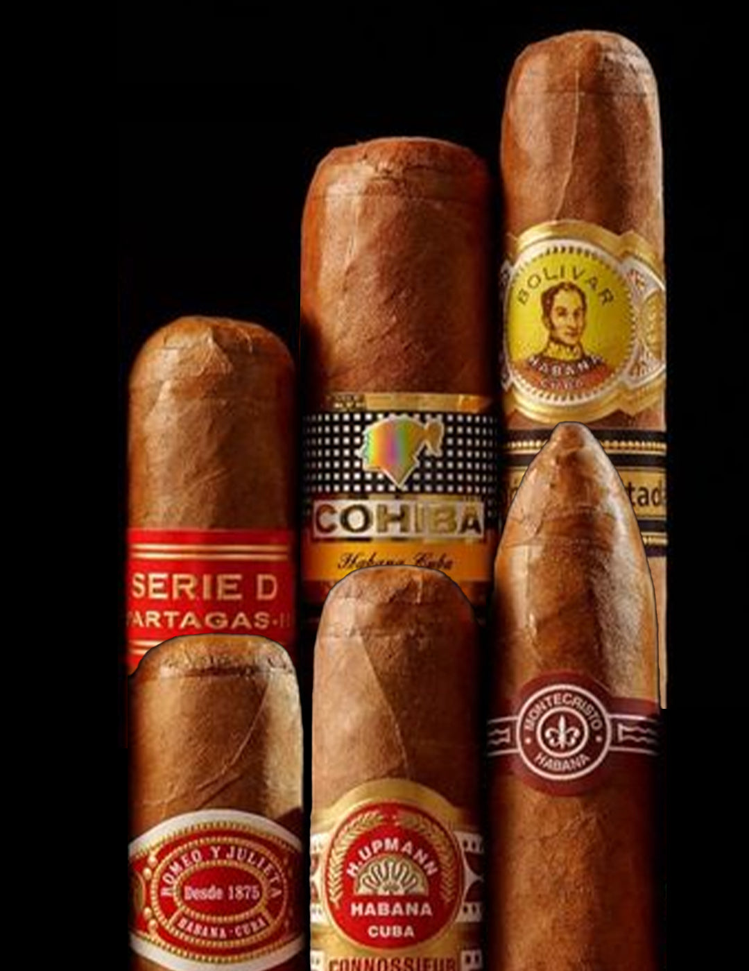 Your One-Stop E-commerce Solution for Premium Cigars & Accessories ...