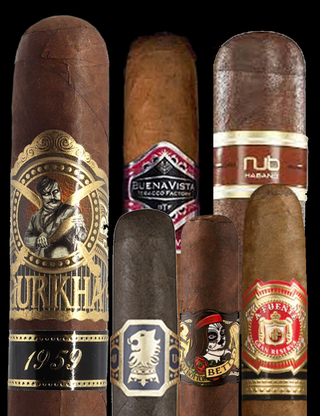 Your One-Stop E-commerce Solution for Premium Cigars & Accessories ...